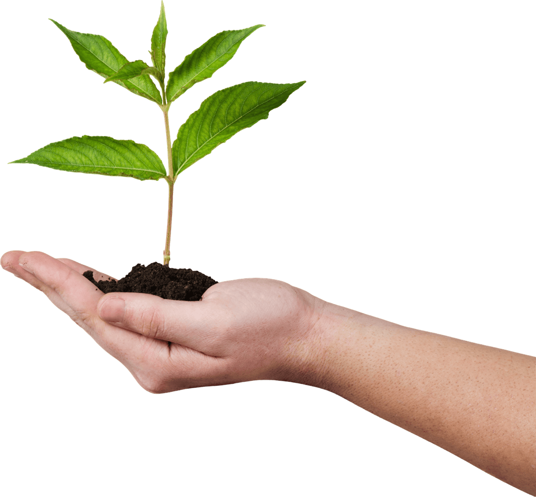 Chitosan Bioplastic Nurtures Plant Growth - ChitoLytic